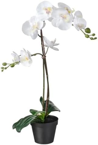 Buy Ikea FEJKA Artificial Potted Plant, Orchid White,12 cm (4 ¾ ...