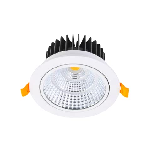 Neptune LIGHTS TRITON LED Round Light, 3 Watt LED Ceiling Warm White ...