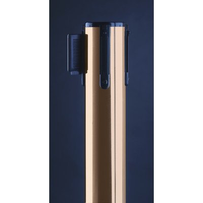 Tensator 314U-2S Contemporary Post, Universal Base, Satin Brass, 33.66 ...