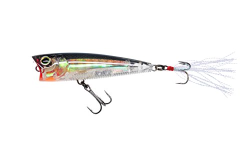 10 Best Popper Lures For Bass + Buying Guide – All Fishing Gear