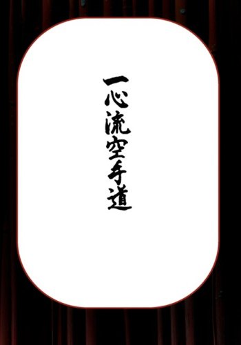 My Isshin-Ryu Karate Manual: Mobley, Cyn: 9781596770270: Books - Amazon.ca