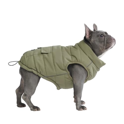 North Face Dog Jacket – The 15 best products compared - Wild Explained