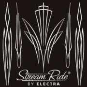 Amazon.com : Electra Bicycle Sticker Set (Pinstripe) : Bike Accessories ...