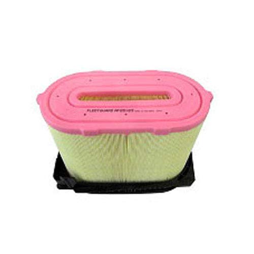 Fleetguard AF25163 Primary Air Filter : Amazon.co.uk: Automotive