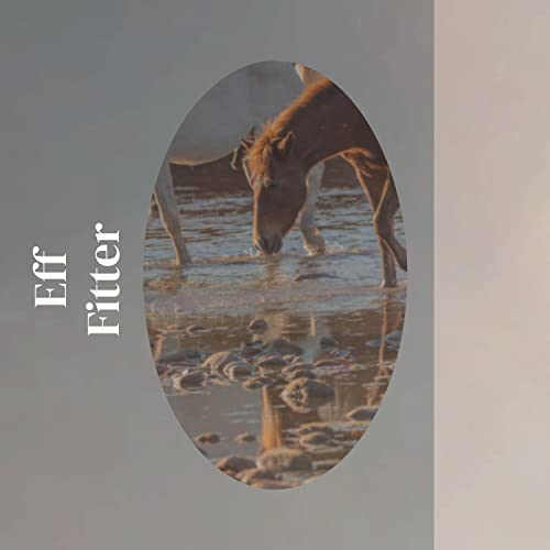 Amazon MusicでVARIOUS ARTISTSのEff Fitterを再生する