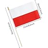 Amazon.com : Ckexin 25Pack Small Poland Flag Mini Polish Handheld Stick ...