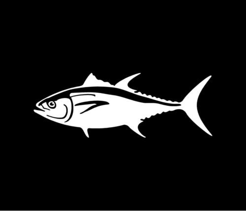 Amazon.com: BLUEFIN TUNA Vinyl Decal Car Window Bumper Sticker Striper ...