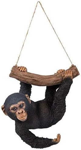 Vivid Arts - Zoo Pet Pals Hanging Chimp Home or Garden Decoration (XRL ...