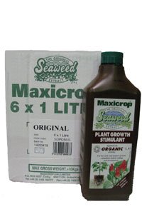 Amazon.com: Maxicrop Original Seaweed Extract (organic) 1lt x6 ...