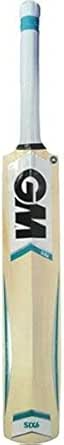 Amazon.com : GM Six6 F2 Maestro Kashmir Willow Cricket Bat Short Handle ...