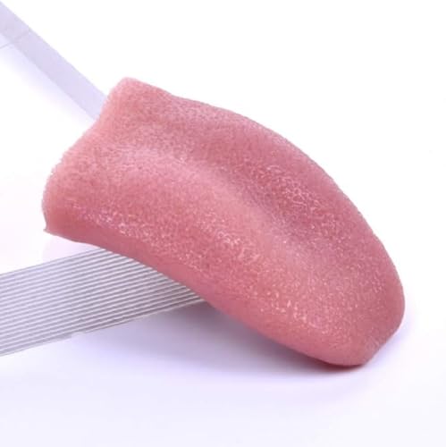 Mnyixsi Funny Realistic Fake Tongue Toys Stretchable Tongue - Want It All