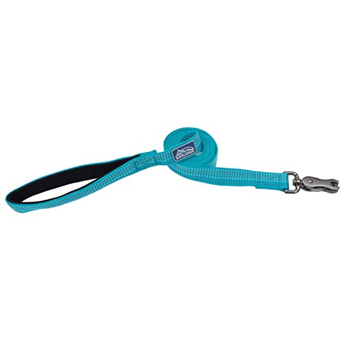 Cutting-Edge Canine Care: Discover the Best Scissor Leashes for a ...