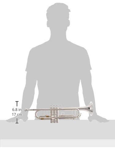 The 29 Best Jupiter Trumpets of 2023 [Verified] - Cherry Picks