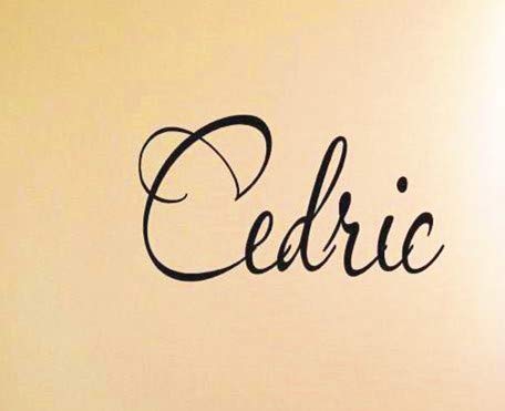 Amazon.com : Cedric Transfer tattoos tattooing temporary tattoos Cute ...