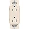 Lutron Claro 15 Amp Duplex Outlet, CAR-15-WH, White - Electrical ...