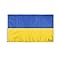 Amazon.com : AGAS Ukraine Mini Stick Flag 4x6 inch – Durable Polyester ...