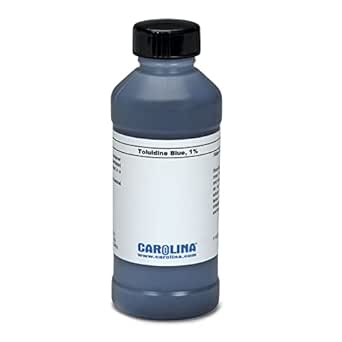 Toluidine Blue O, 1% Aqueous, Laboratory Grade, 100 mL : Amazon.in ...