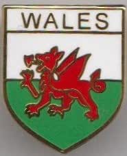 1000 Flags Wales Welsh Dragon Shield Flag Badge : Amazon.ca: Office ...