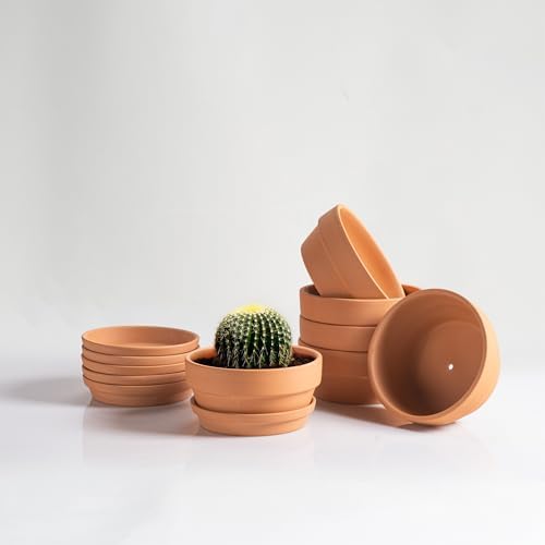 Amazon.com: Yishang 6 Inch Terracotta Shallow Planters,Ceramic Flower ...