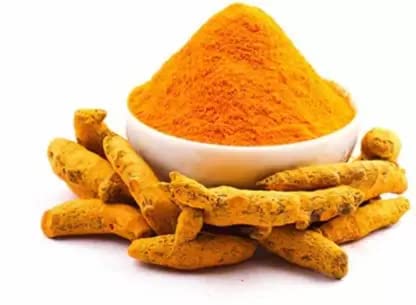 BIMA Murshidabad Fresh Turmeric Roots Stick Dried Powder, Raw Dry Haldi ...