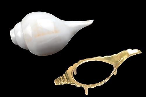 GANGTARANG Vamavarthi Shankh (5 Inch Long, 8 Inch Diameter) with Brass ...