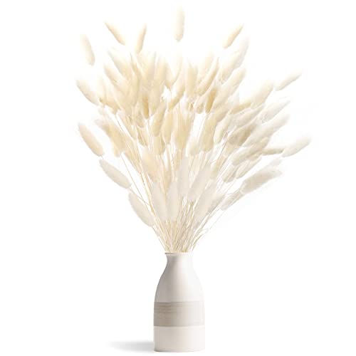 Mini Pampasgras Deko – Die 15 besten Produkte im Vergleich - kita.de ...