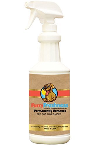 Best Furry Freshness Carpet Cleaner 2021 Where to Buy ...
