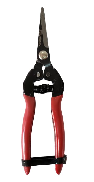 Nested Greens - FRUIT SNIPPER 10MM CUTTING THICKNESS - Fruit Snip with ...