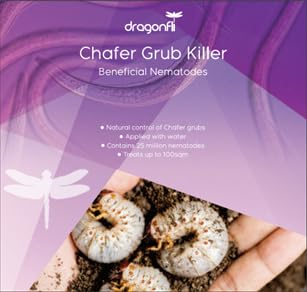 Dragonfli Chafer Grub Killer Nematodes 20 Square Metre Pack : Amazon.co ...