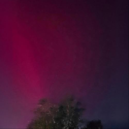 Chewy Tracking – The 15 best products compared - Wild Explained