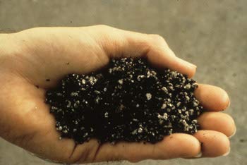 Studio Garden Soilrite Organic Soil Activator - Pack of 500 g : Amazon ...