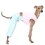 D DOGGY STAR Italian Greyhound Clothes Sleeveless Jeans Onesie Outfit ...