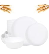 Amazon.com: EI 24pcs Black Wheat Straw Plates,Wheat Straw Dinnerware ...