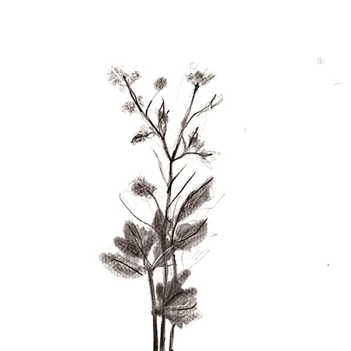 MONOLOGUE by KIM JI HUN on Amazon Music - Amazon.com