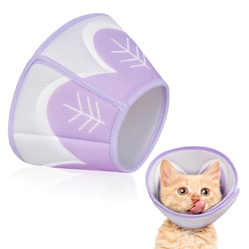 Cat Cones – The 15 best products compared - Wild Explained