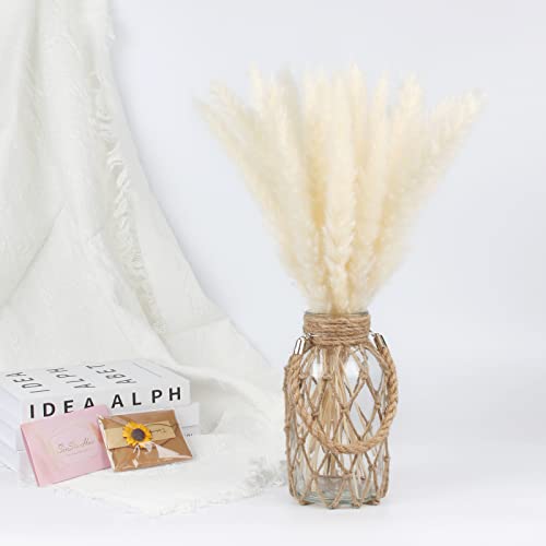 Mini Pampasgras Deko – Die 15 besten Produkte im Vergleich - kita.de ...