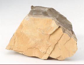 SciEd Individual Rock Specimens: Sedimentary; Shale, oil shale, brown ...