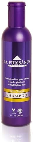 Amazon.com : Pantene Silver Expressions, Purple Shampoo and Hair Toner ...