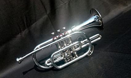 Sai Musical Store's Gift Cornet Bb Pitch Brass Trumpet Silver Coloured ...