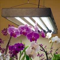 Amazon.com : Hydrofarm Designer - 4' T5 High Output Fluorescent Light ...