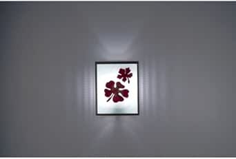 WPT Design F/N2-Bronze FN2 Wall Sconce with Copper Fused Glass Panel ...