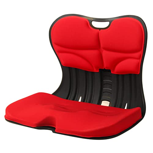 Snapklik.com : HIHIP Comfortable Lumbar Back Support & Posture ...
