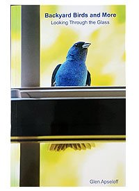 Backyard Birds and More—Looking Through the Glass: Glen Apseloff ...