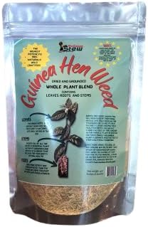 Amazon.com : Anamu Tea (Jamaican Guinea Hen Weed 100%) Roots and Leaves ...