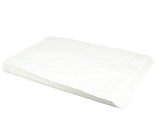 Amazon.com: Frymaster 8030170FRY Filter Paper, 19.5 x 27.50, 100 Sheets ...