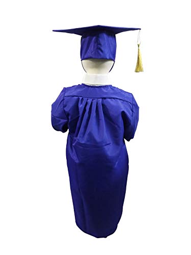BookMyCostume Blue Graduate Convocation Graduation Day Gown Kids ...