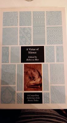 Virtue of Silence: Rebecca Mee: 9781862265561: Amazon.com: Books