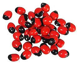 GOSIDDHI Red Gunja | Lal chirmi | Gunja Beads | Chirmi ke Beej | Red ...