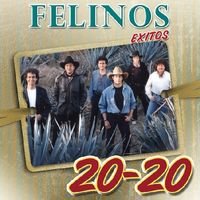 20-20 Exitos - Amazon.com Music