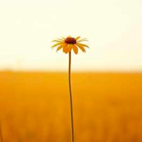 Play Worth It (AI Vocals) by Adam Hays on Amazon Music Unlimited